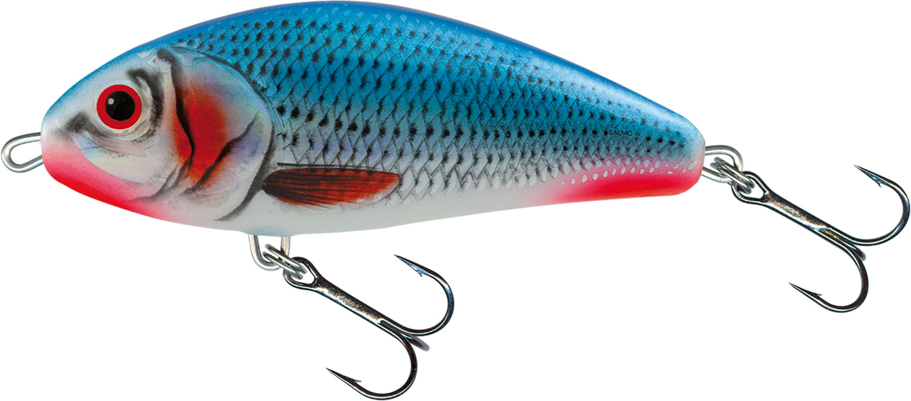 Salmo Sinking Fatso 10cm Bleeding Blue Shad – The Tackle Company